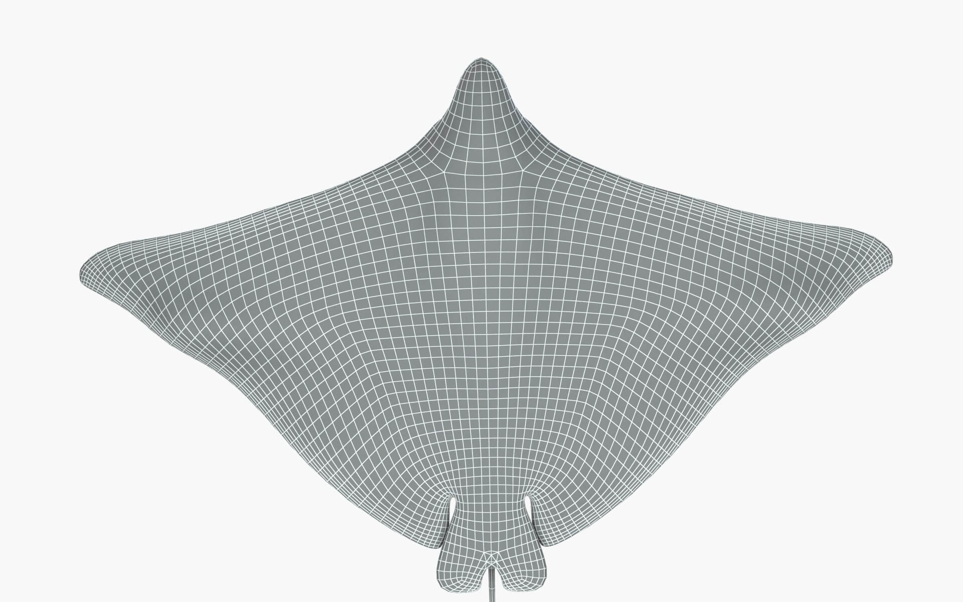 Spotted Eagle Ray - 3D Model by tomoplace