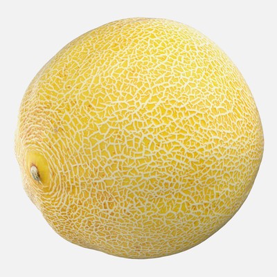 Galia Melon 01 - 3D Model by Tornado Studios