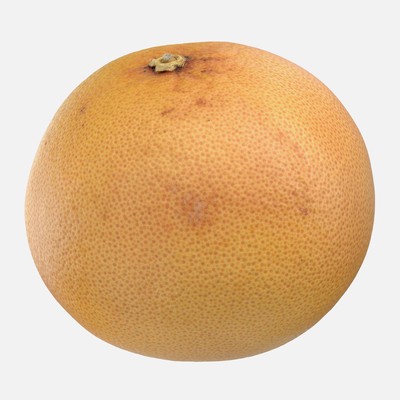 Grapefruit 01 - 3D Model by Tornado Studios