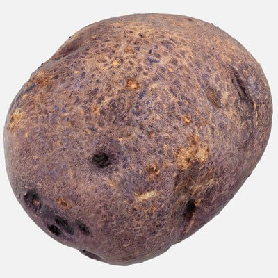 Purple Potato 02 - 3D Model by Tornado Studios