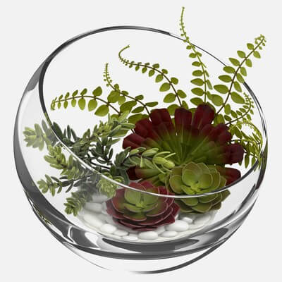 Table Terrarium - 3D Model by Tornado Studios