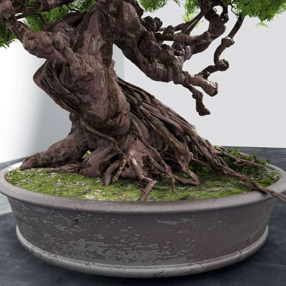 Bonsai Plant - 3D Model by tranduyhieu