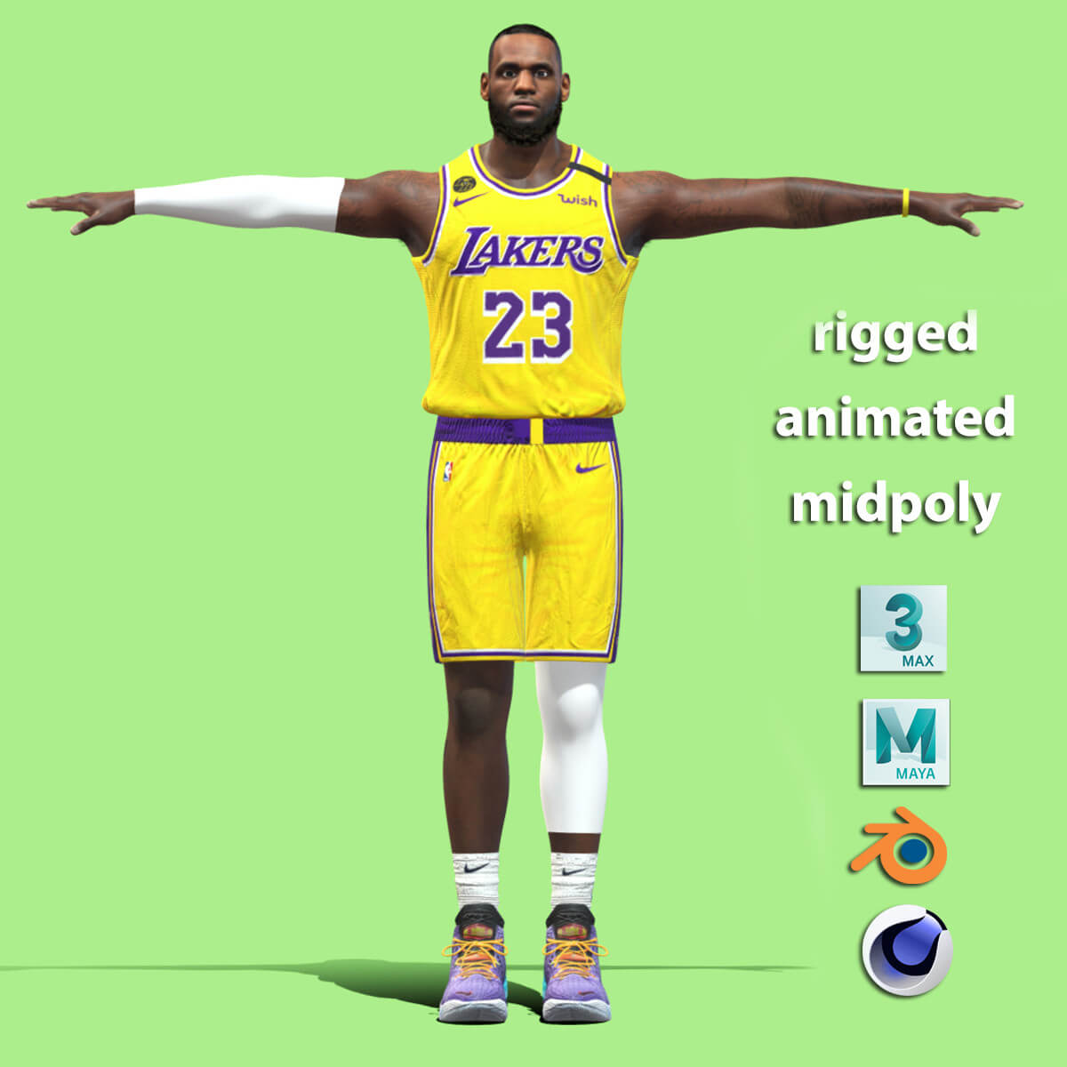 T-P Rigged Lebron James NBA 3D Model by tranduyhieu