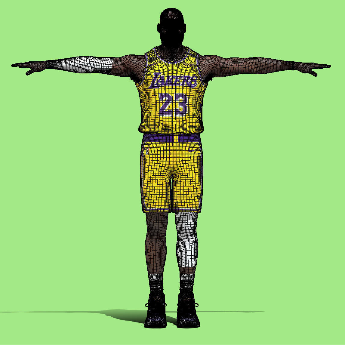 T-P Rigged Lebron James NBA 3D Model by tranduyhieu