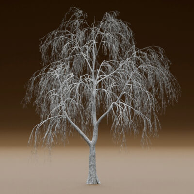 Bay Willow Tree - 3D Model by Tree52787