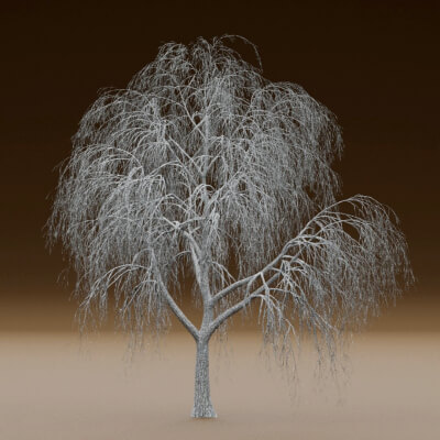 Bay Willow Tree - Free 3D Model by Tree52787