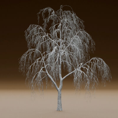 Bay Willow Tree - 3D Model by Tree52787
