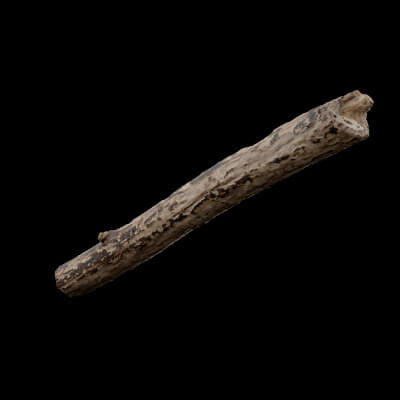 Tree Debris Branch - 3D Model by Tree52787