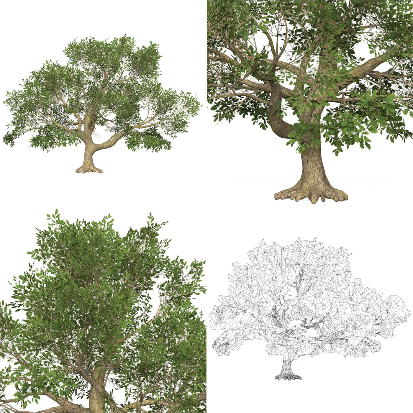 10 Game Ready Big Tree Collection - 3D Model by TreeWorld3d