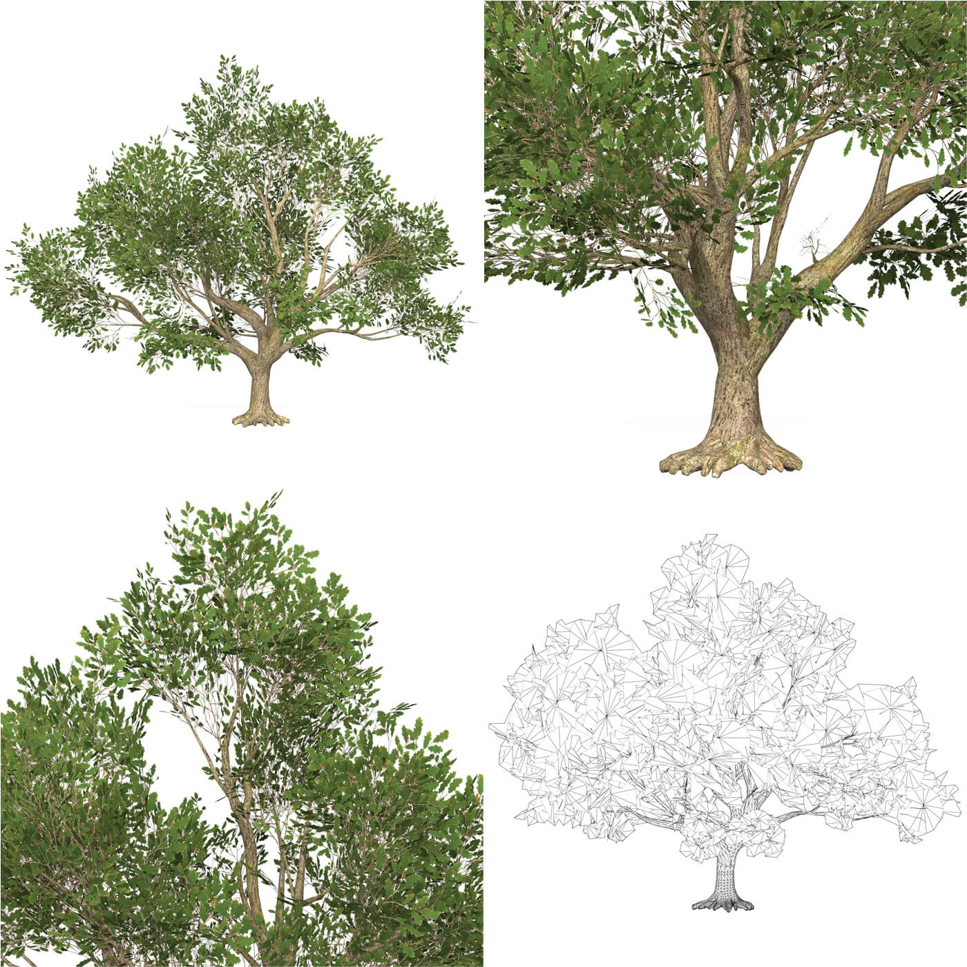 10 Game Ready Big Tree Collection - 3D Model by TreeWorld3d