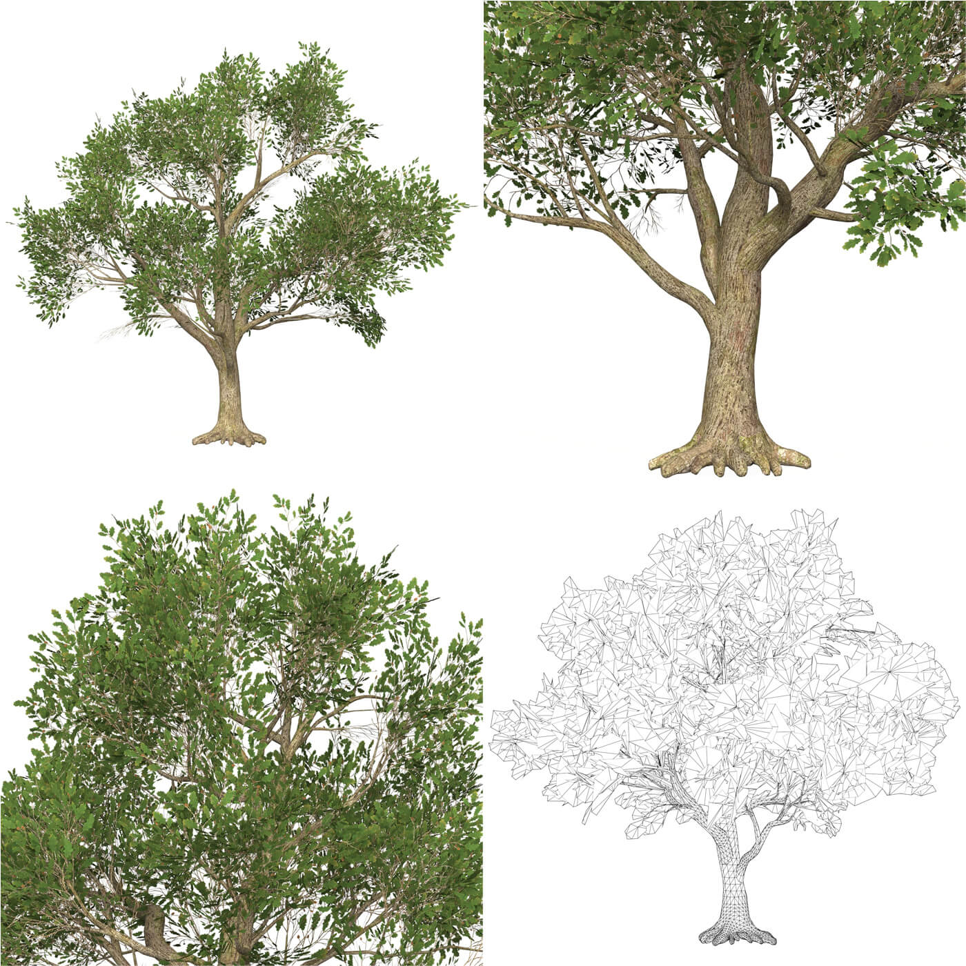 10 Game Ready Big Tree Collection - 3D Model by TreeWorld3d