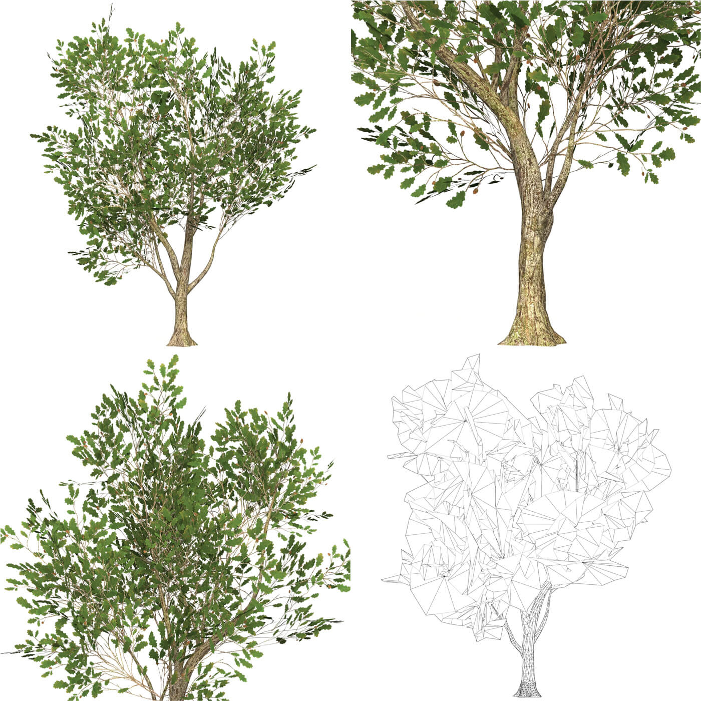 10 Game Ready Big Tree Collection - 3D Model by TreeWorld3d