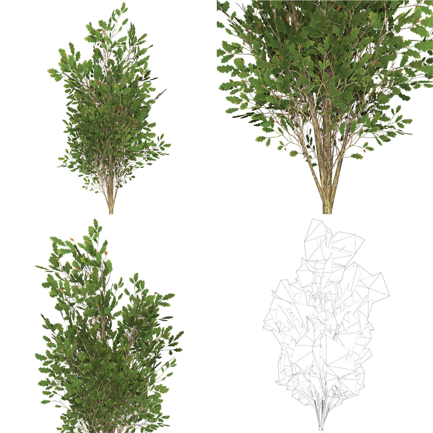 10 Game Ready Big Tree Collection - 3D Model by TreeWorld3d