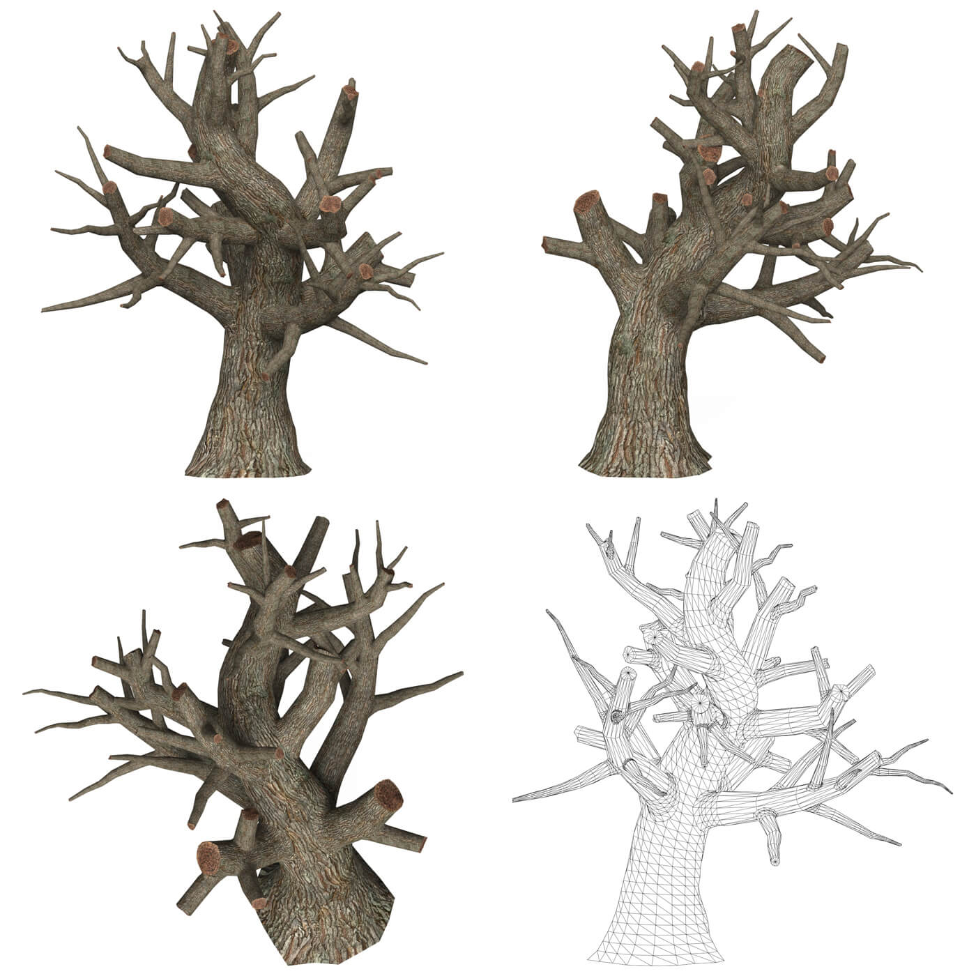 10 Game Ready Dead Tree Collection - 3D Model by TreeWorld3d