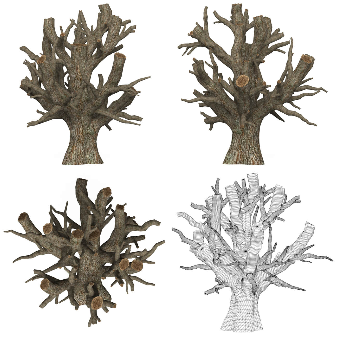 10 Game Ready Dead Tree Collection - 3D Model by TreeWorld3d