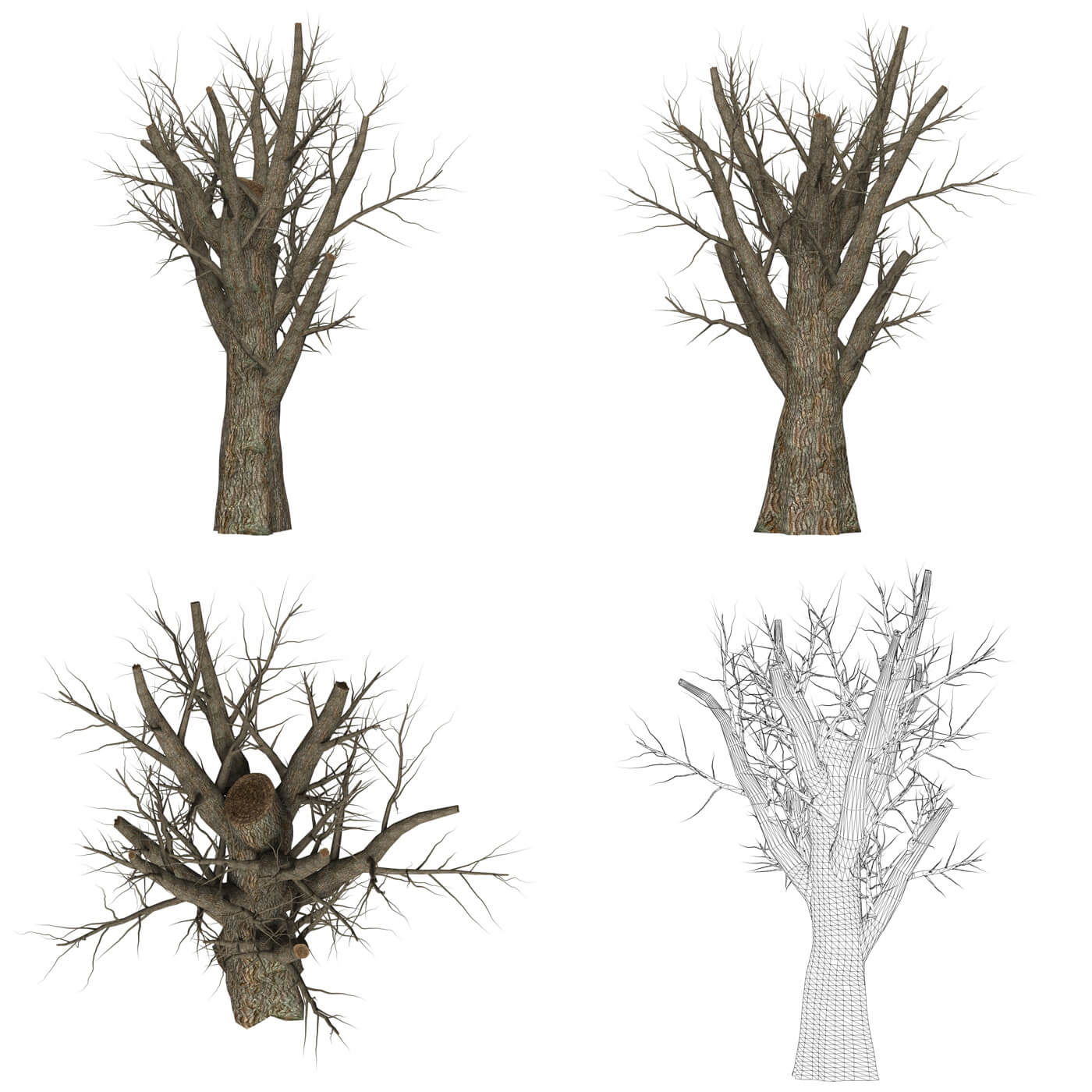 10 Game Ready Dead Tree Collection - 3D Model by TreeWorld3d