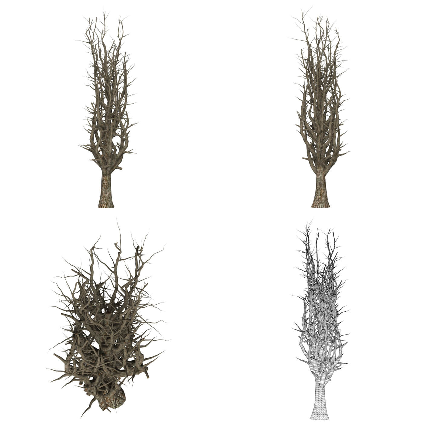 10 Game Ready Dead Tree Collection - 3D Model by TreeWorld3d