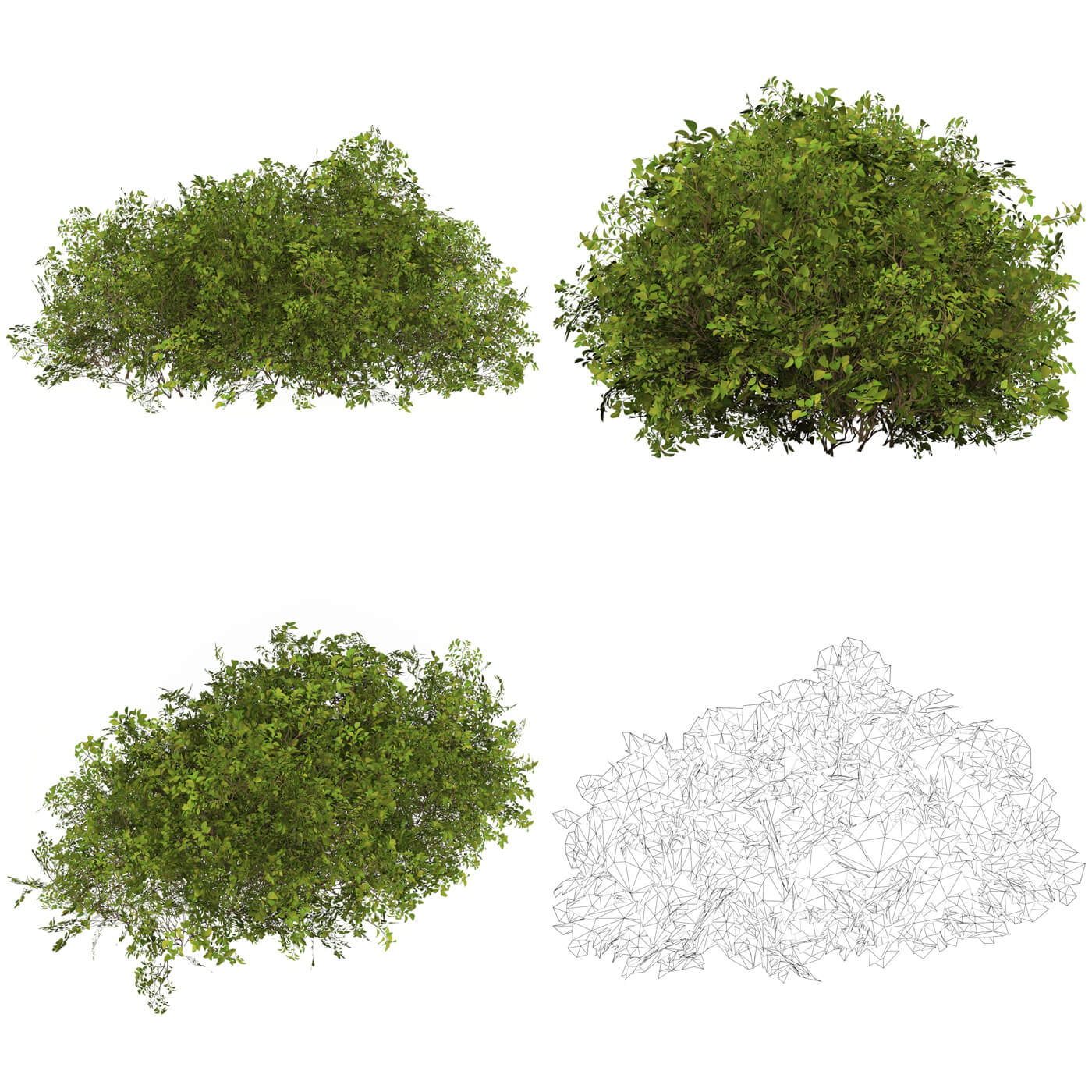 10 Game Ready Plant Bush Collection - 3D Model by TreeWorld3d