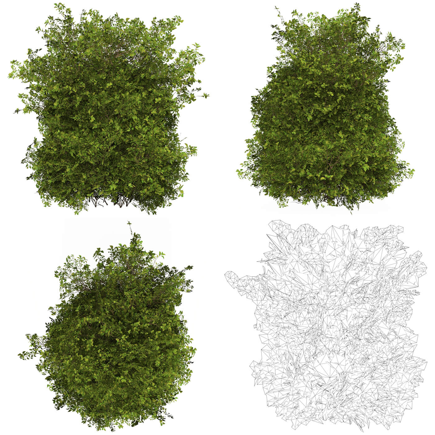 10 Game Ready Plant Bush Collection - 3D Model by TreeWorld3d