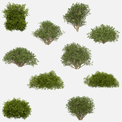10 Game Ready Plant Bush Collection - 3D Model by TreeWorld3d