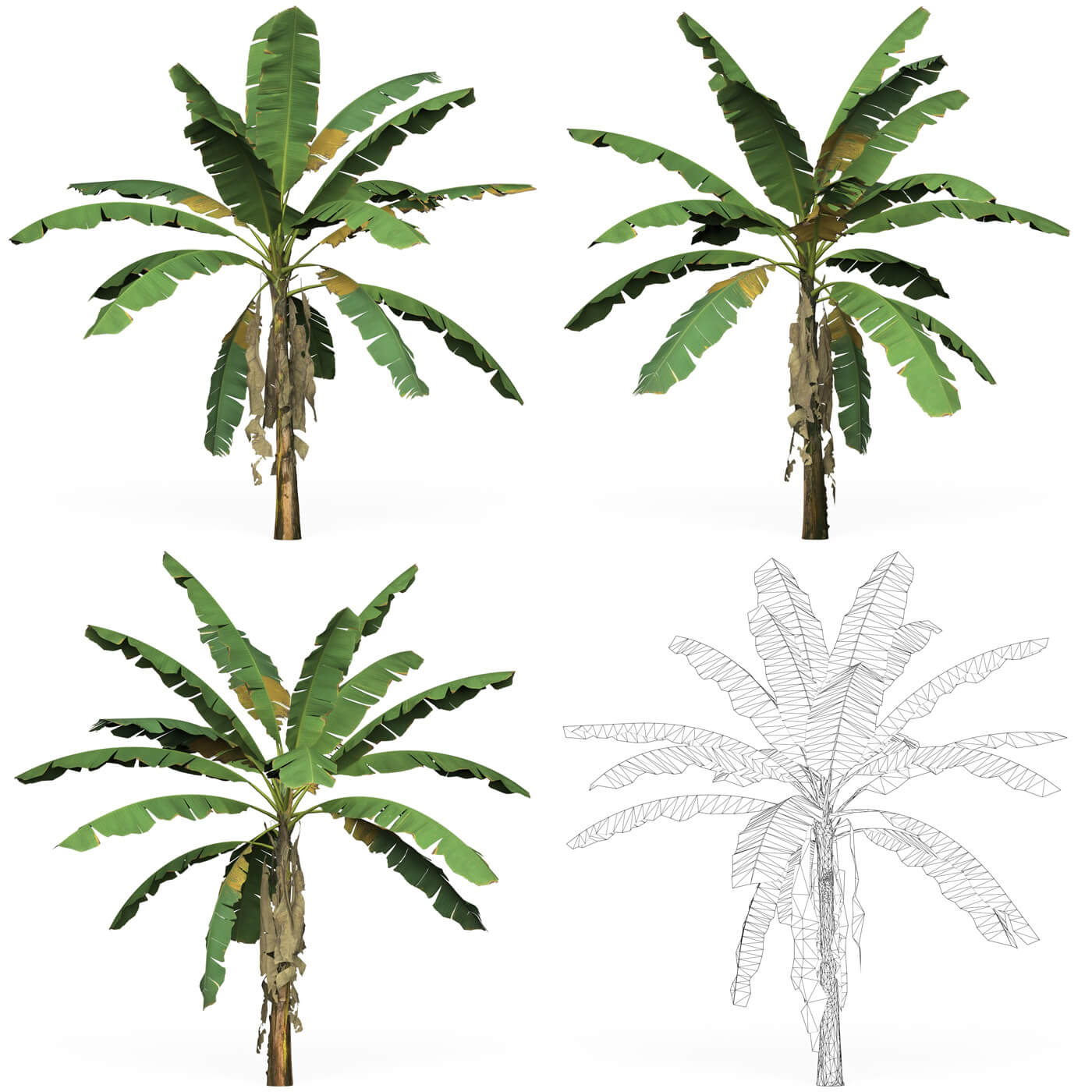 32 Game Ready Tree Collection - 02 3D Model by TreeWorld3d