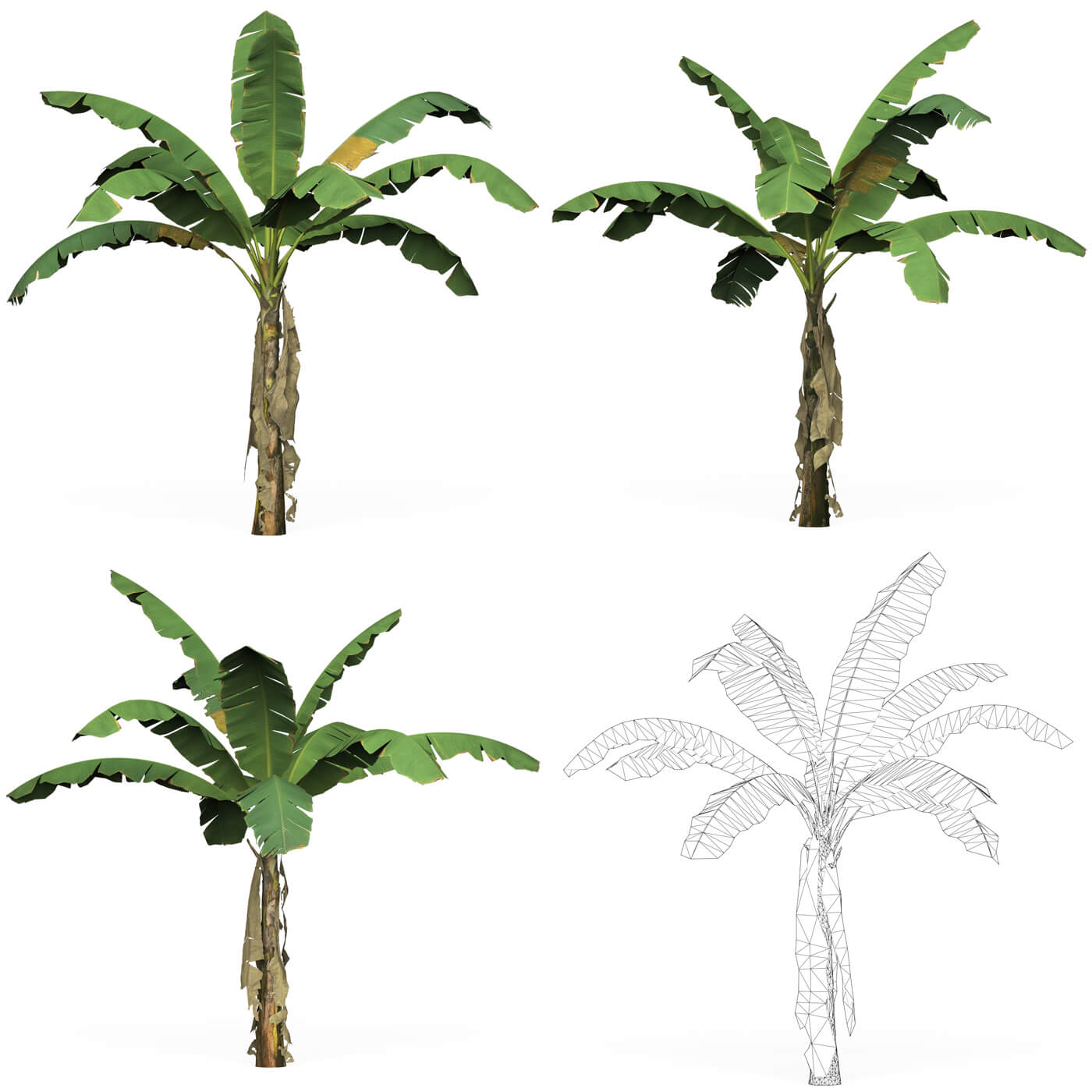 32 Game Ready Tree Collection - 02 3D Model by TreeWorld3d