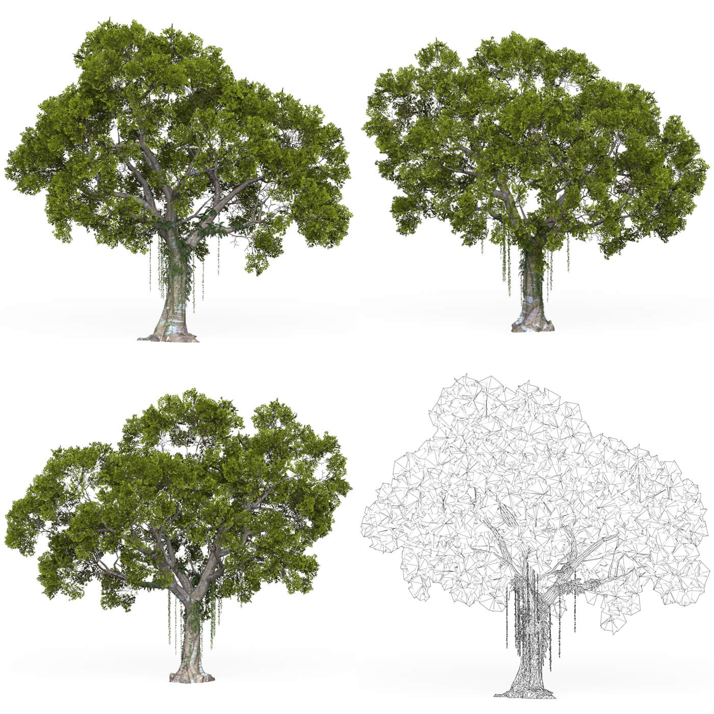 32 Game Ready Tree Collection - 02 3D Model by TreeWorld3d