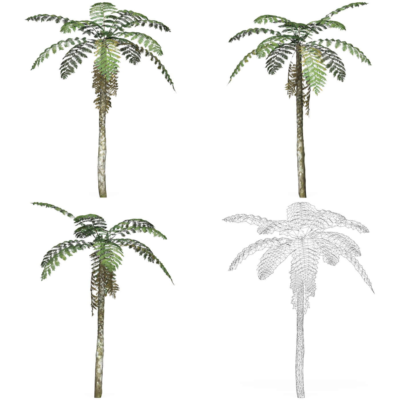 32 Game Ready Tree Collection - 02 3D Model by TreeWorld3d