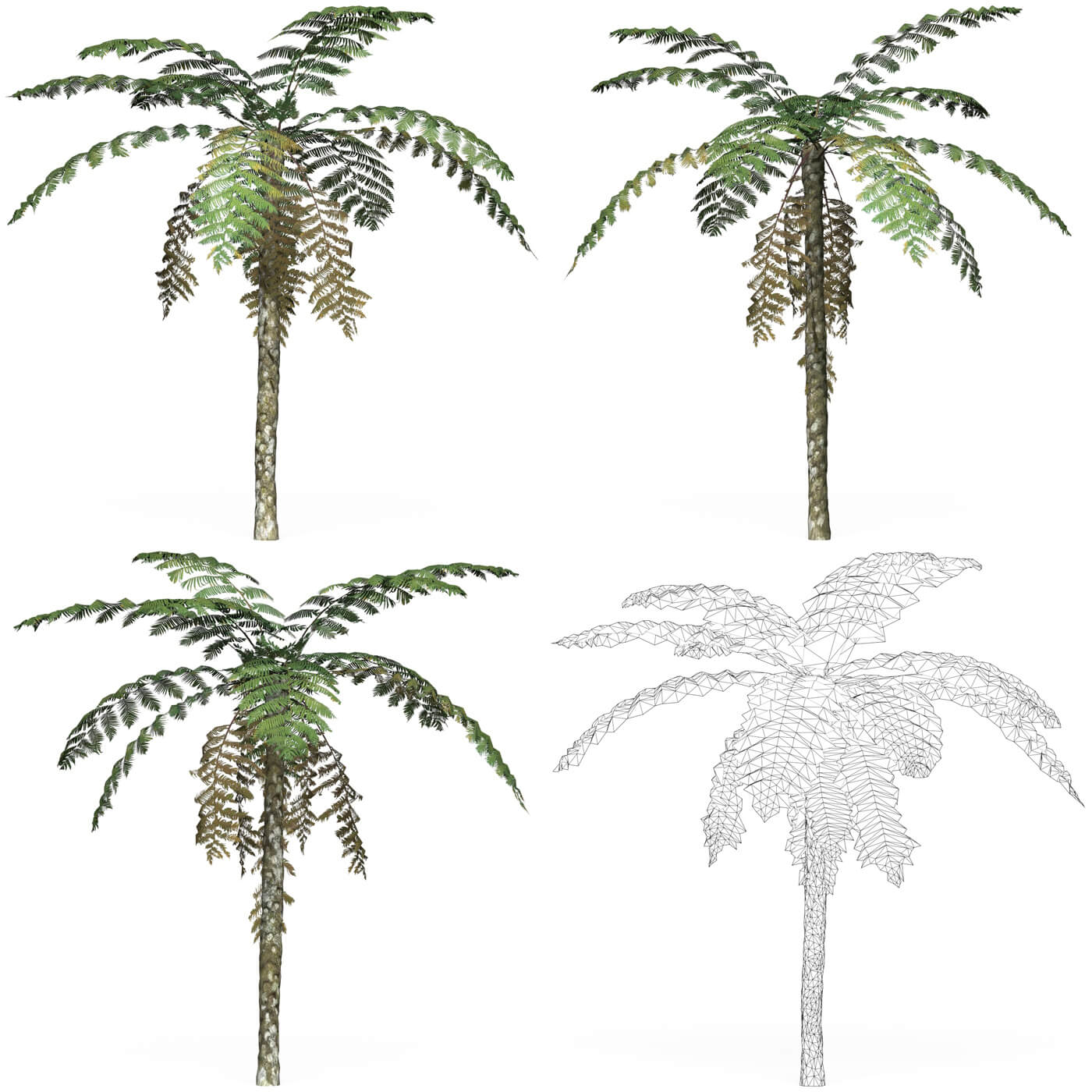 32 Game Ready Tree Collection - 02 3D Model by TreeWorld3d