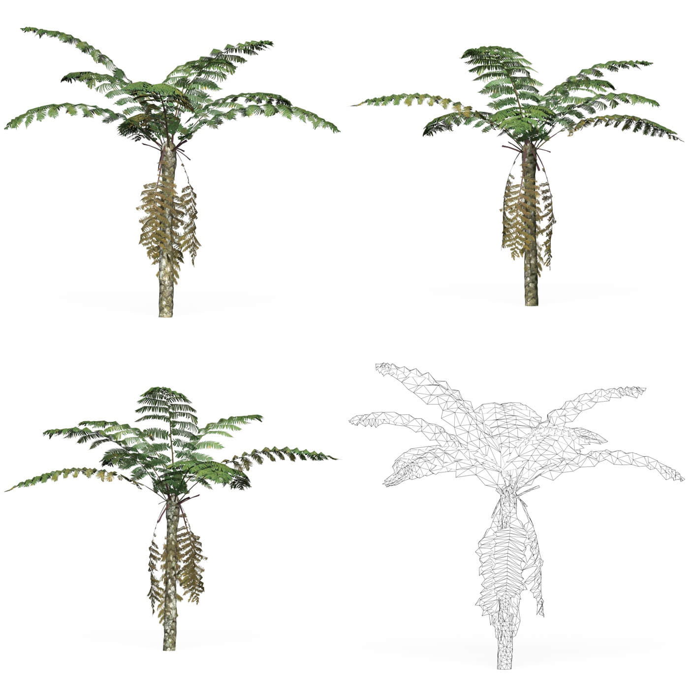 32 Game Ready Tree Collection - 02 3D Model by TreeWorld3d
