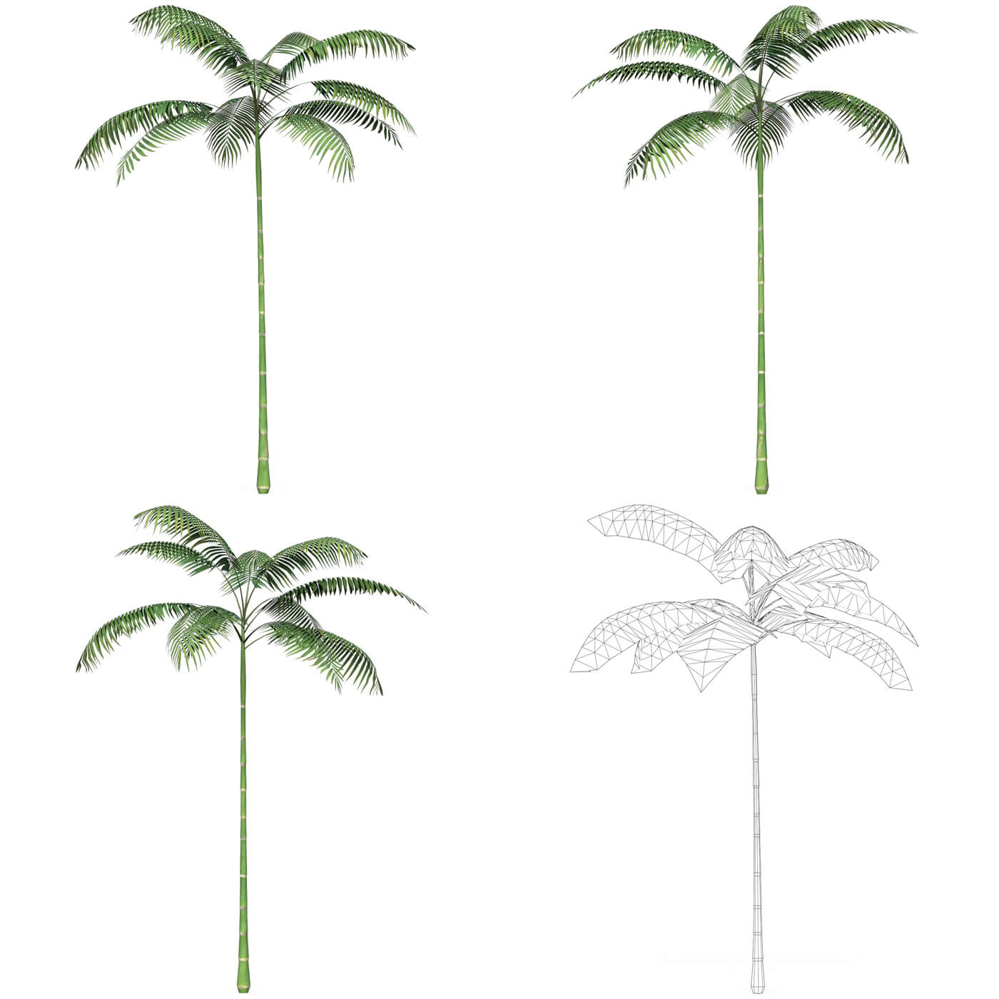 32 Game Ready Tree Collection - 02 3D Model by TreeWorld3d