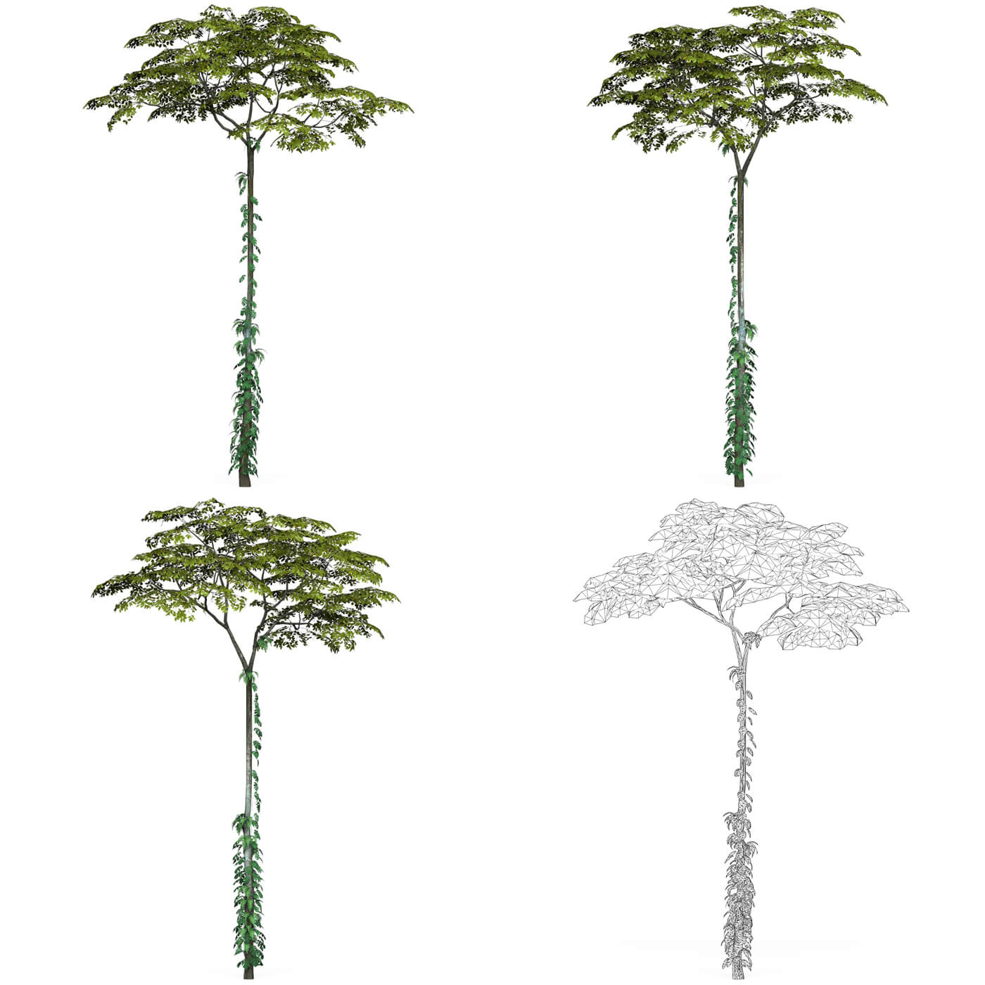 32 Game Ready Tree Collection - 02 3D Model by TreeWorld3d