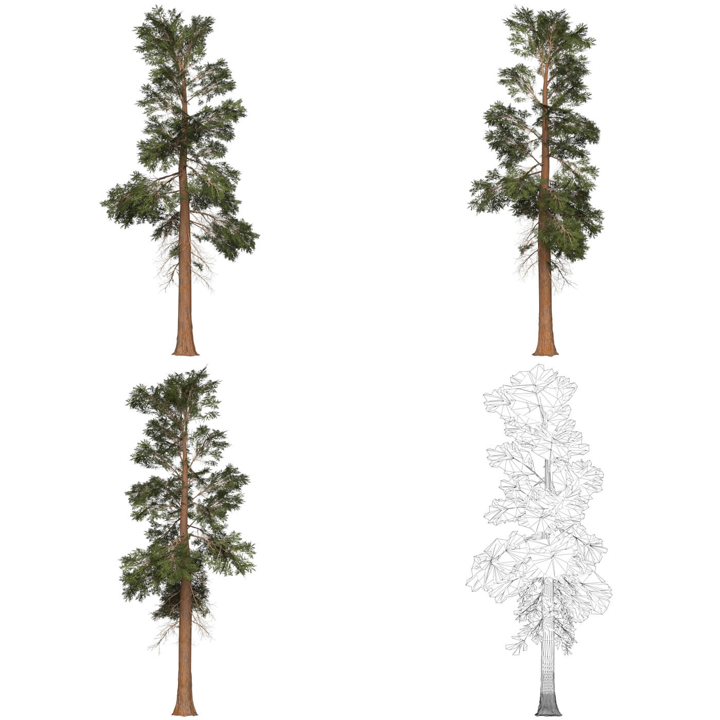 32 Game Ready Tree Collection - 02 3D Model by TreeWorld3d