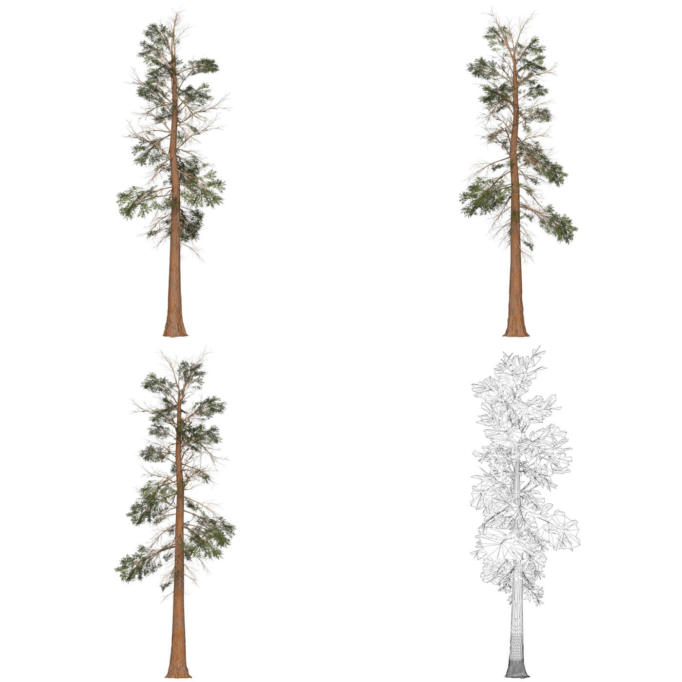32 Game Ready Tree Collection - 02 3D Model by TreeWorld3d