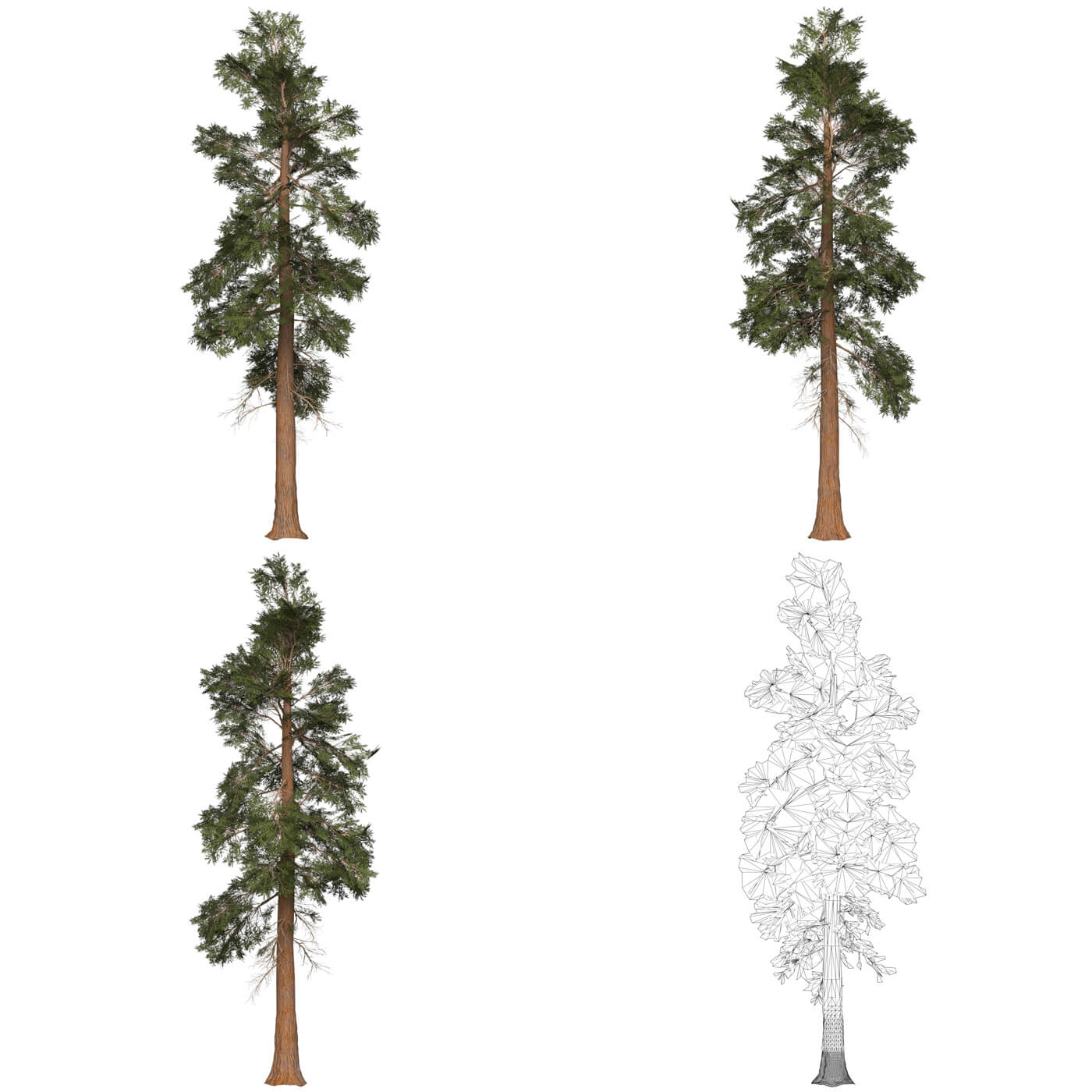32 Game Ready Tree Collection - 02 3D Model by TreeWorld3d