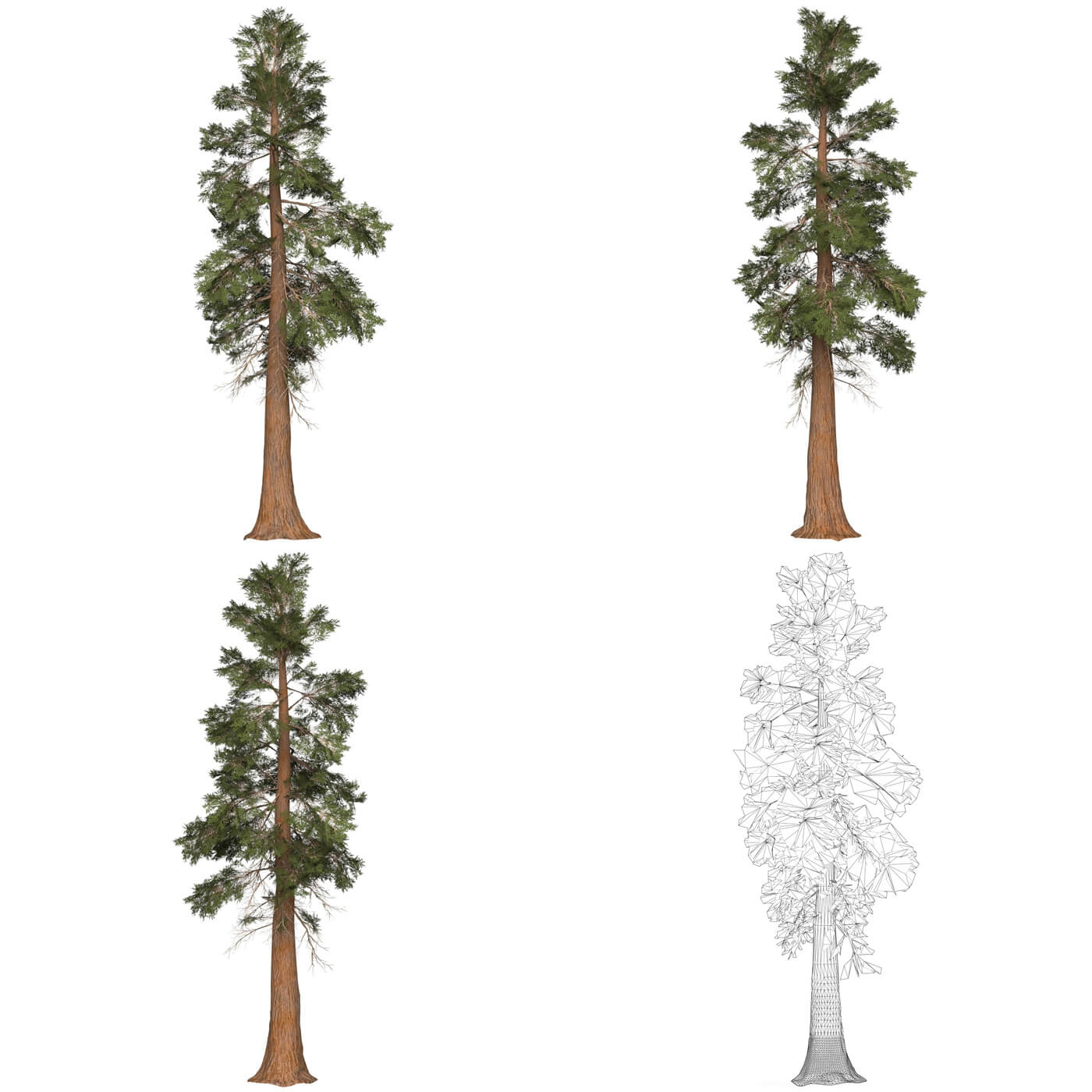 32 Game Ready Tree Collection - 02 3D Model by TreeWorld3d