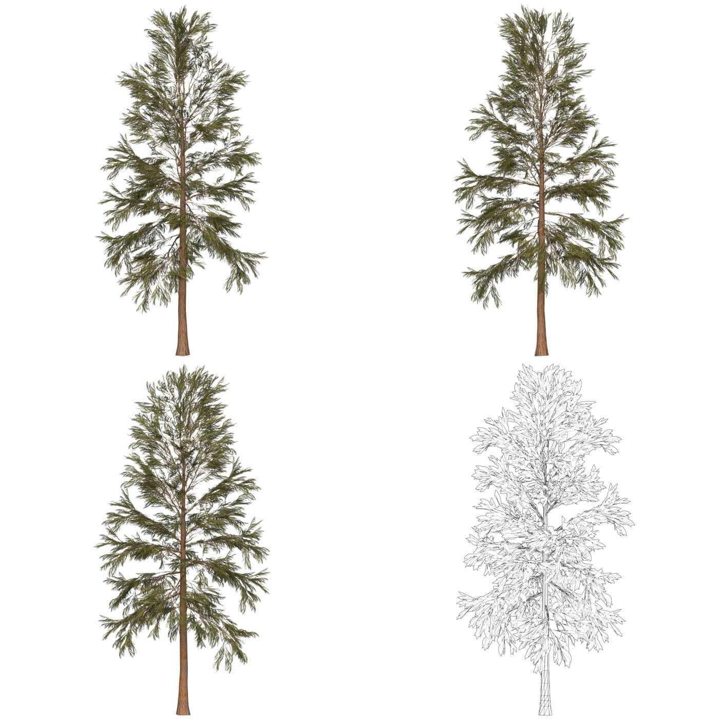 32 Game Ready Tree Collection - 02 3D Model by TreeWorld3d