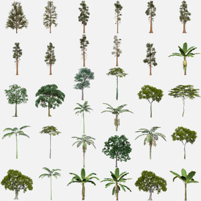 32 Game Ready Tree Collection - 02 3D Model by TreeWorld3d