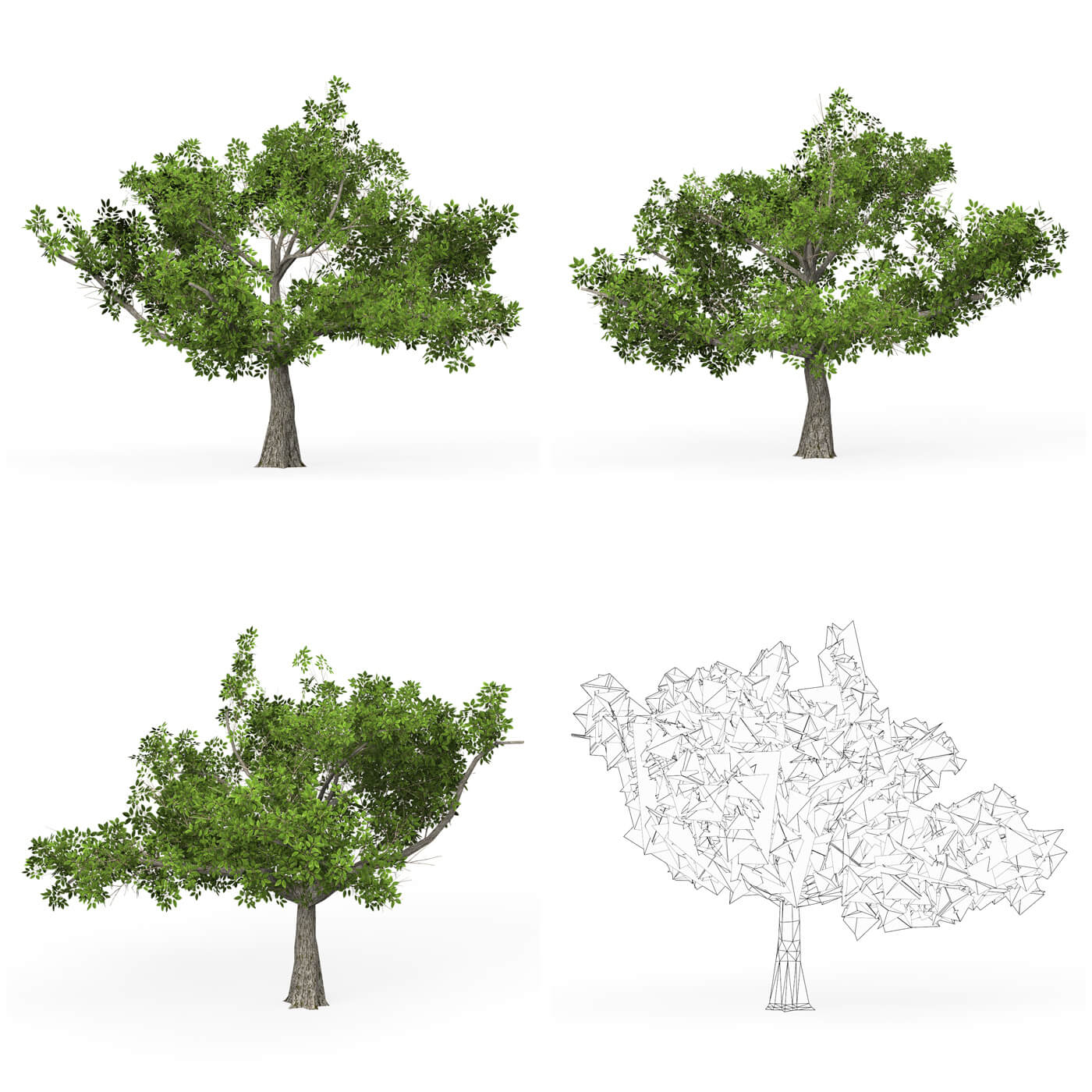 32 Realistic Low Poly Tree Collection - 3D Model by TreeWorld3d
