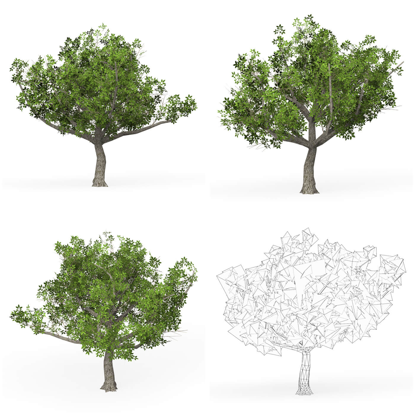 32 Realistic Low Poly Tree Collection - 3D Model by TreeWorld3d