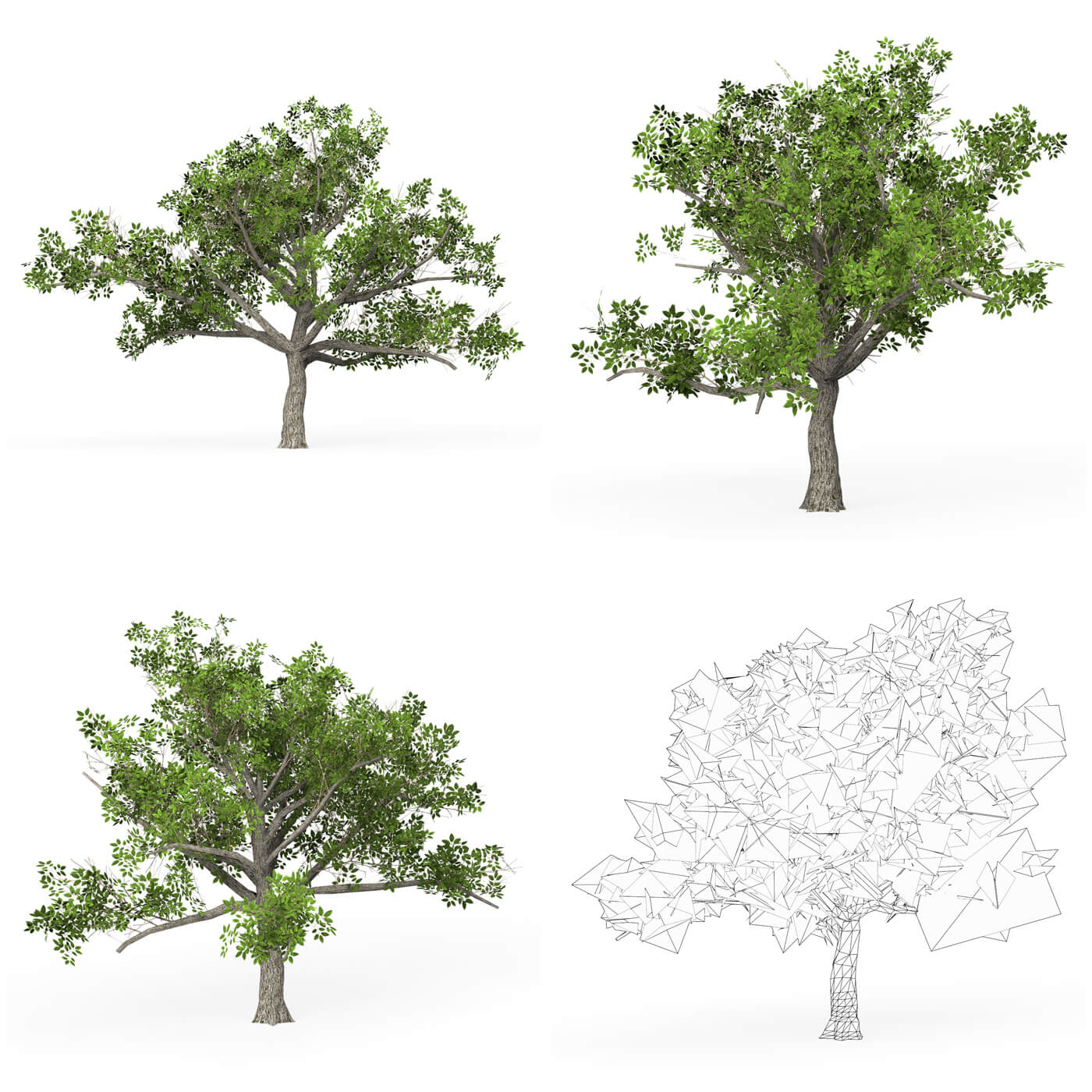32 Realistic Low Poly Tree Collection - 3D Model by TreeWorld3d