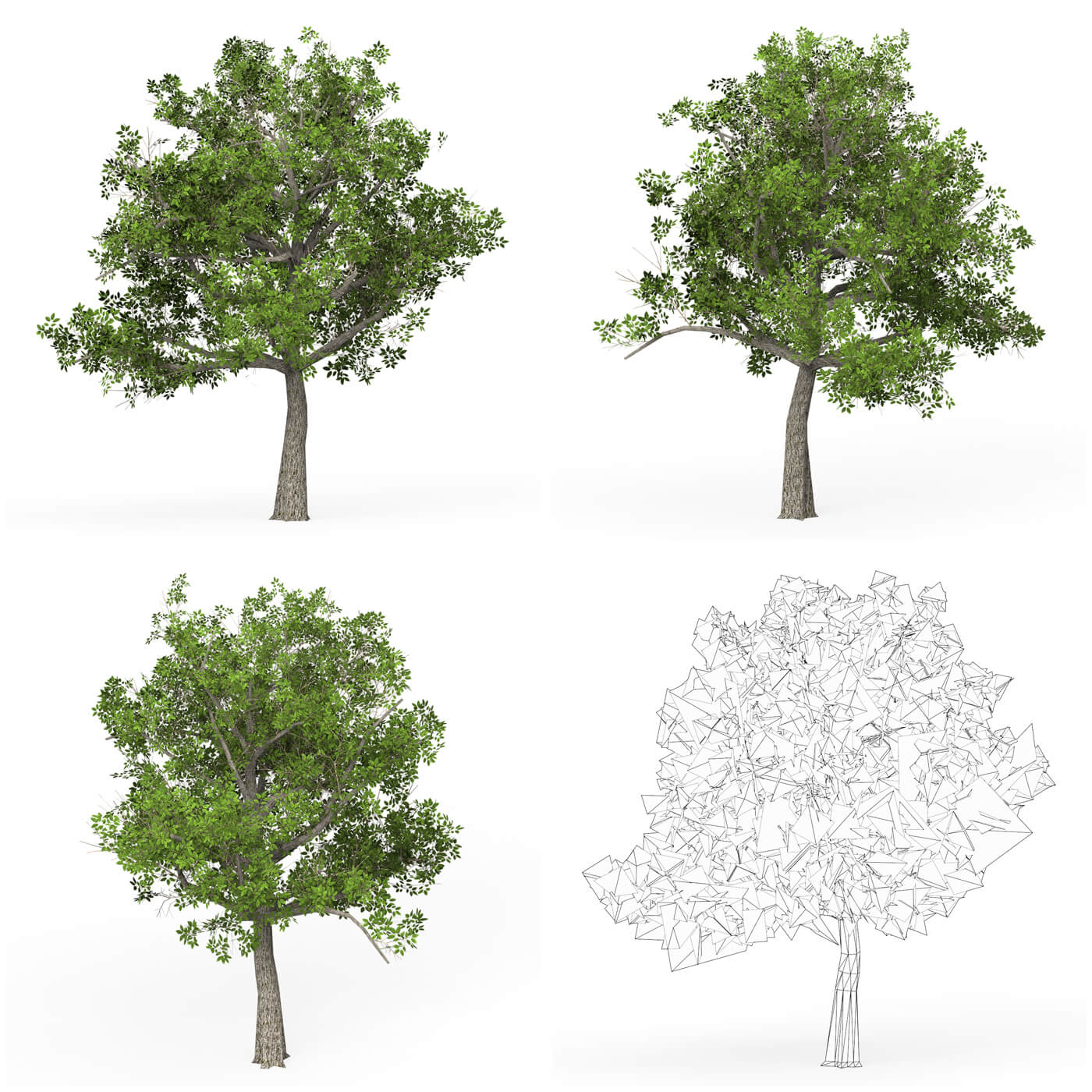 32 Realistic Low Poly Tree Collection - 3D Model by TreeWorld3d