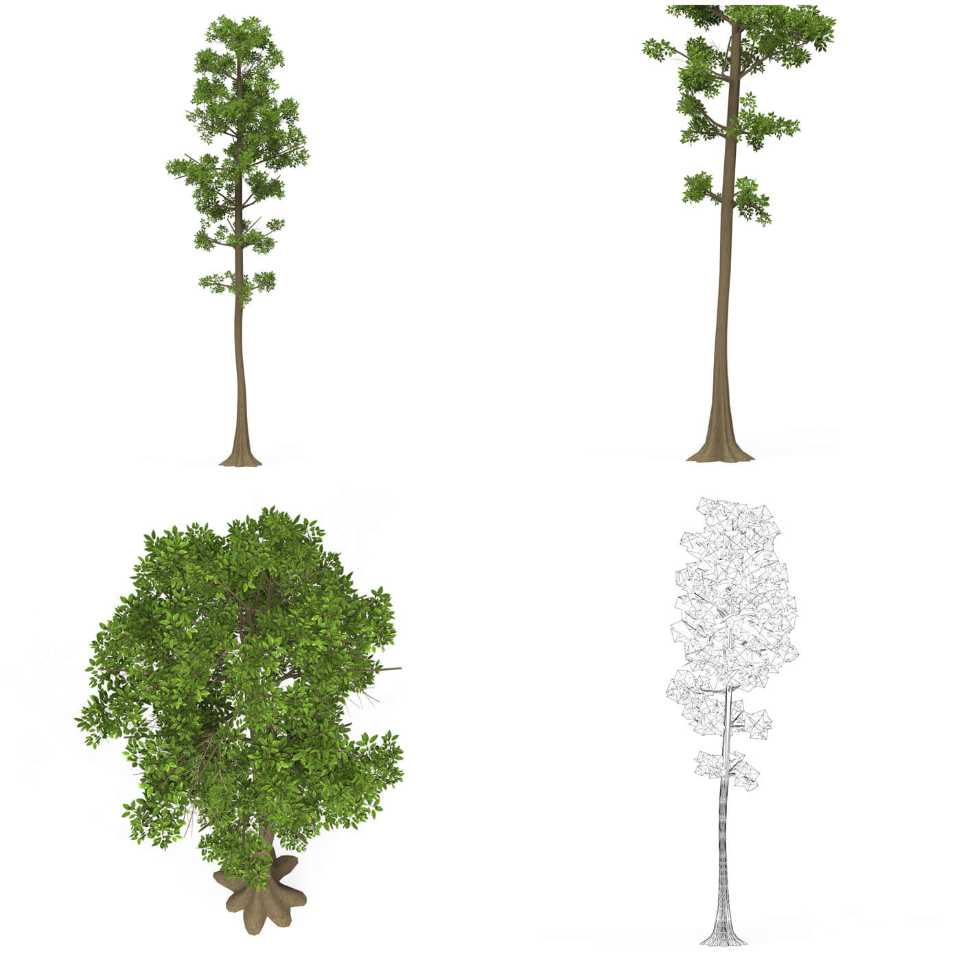 32 Realistic Low Poly Tree Collection - 3D Model by TreeWorld3d