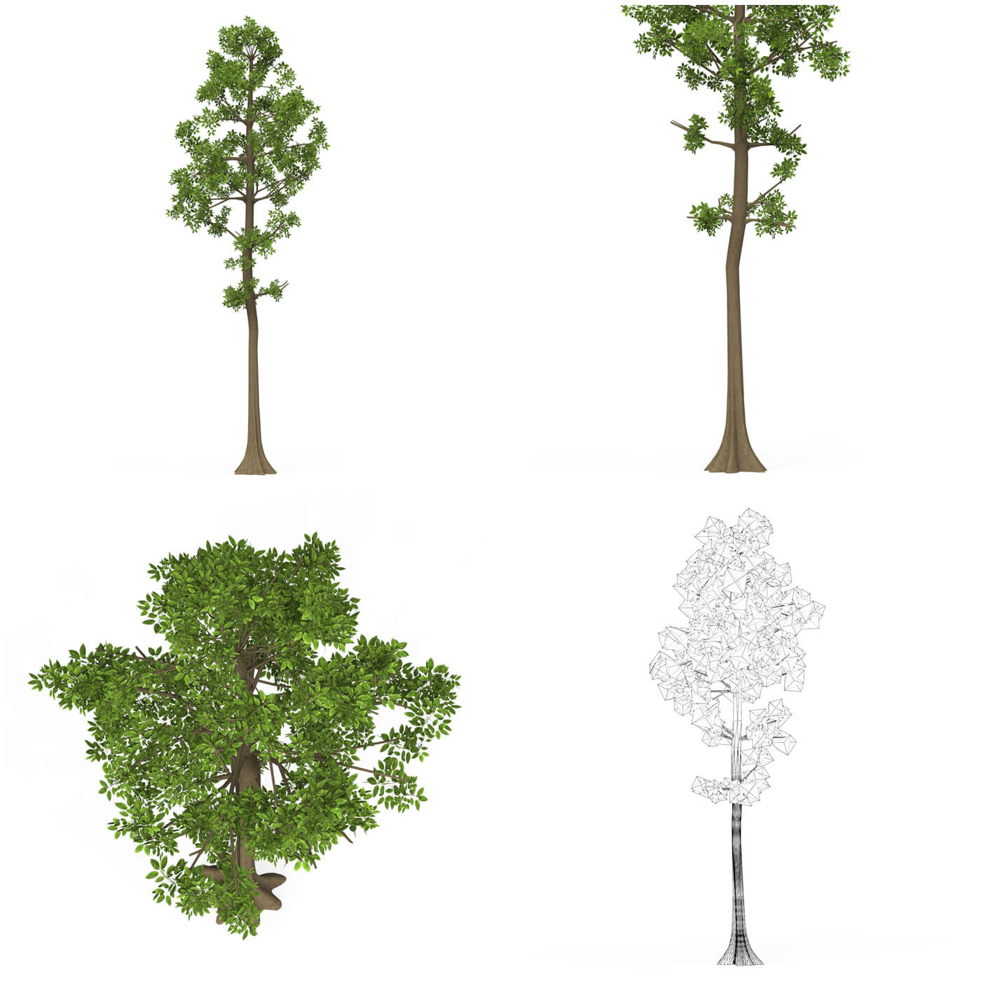 32 Realistic Low Poly Tree Collection - 3D Model by TreeWorld3d