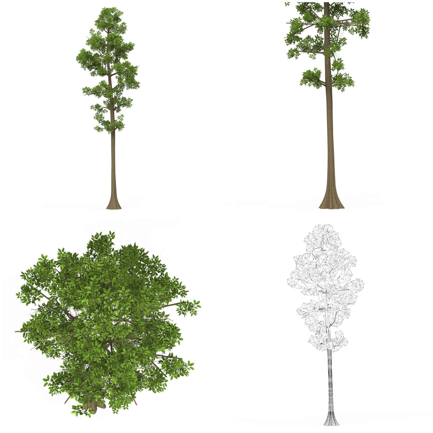 32 Realistic Low Poly Tree Collection - 3D Model by TreeWorld3d