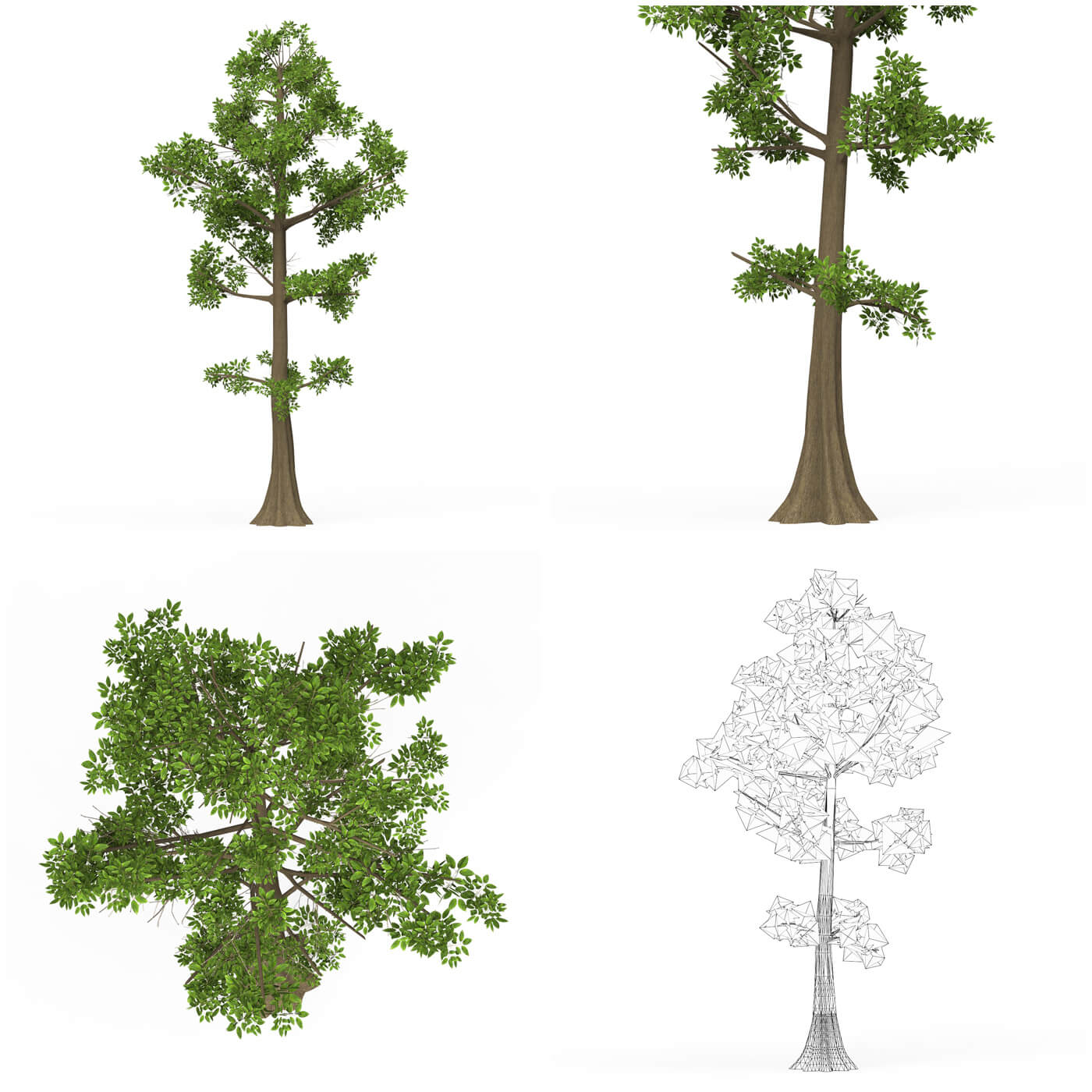 32 Realistic Low Poly Tree Collection - 3D Model by TreeWorld3d