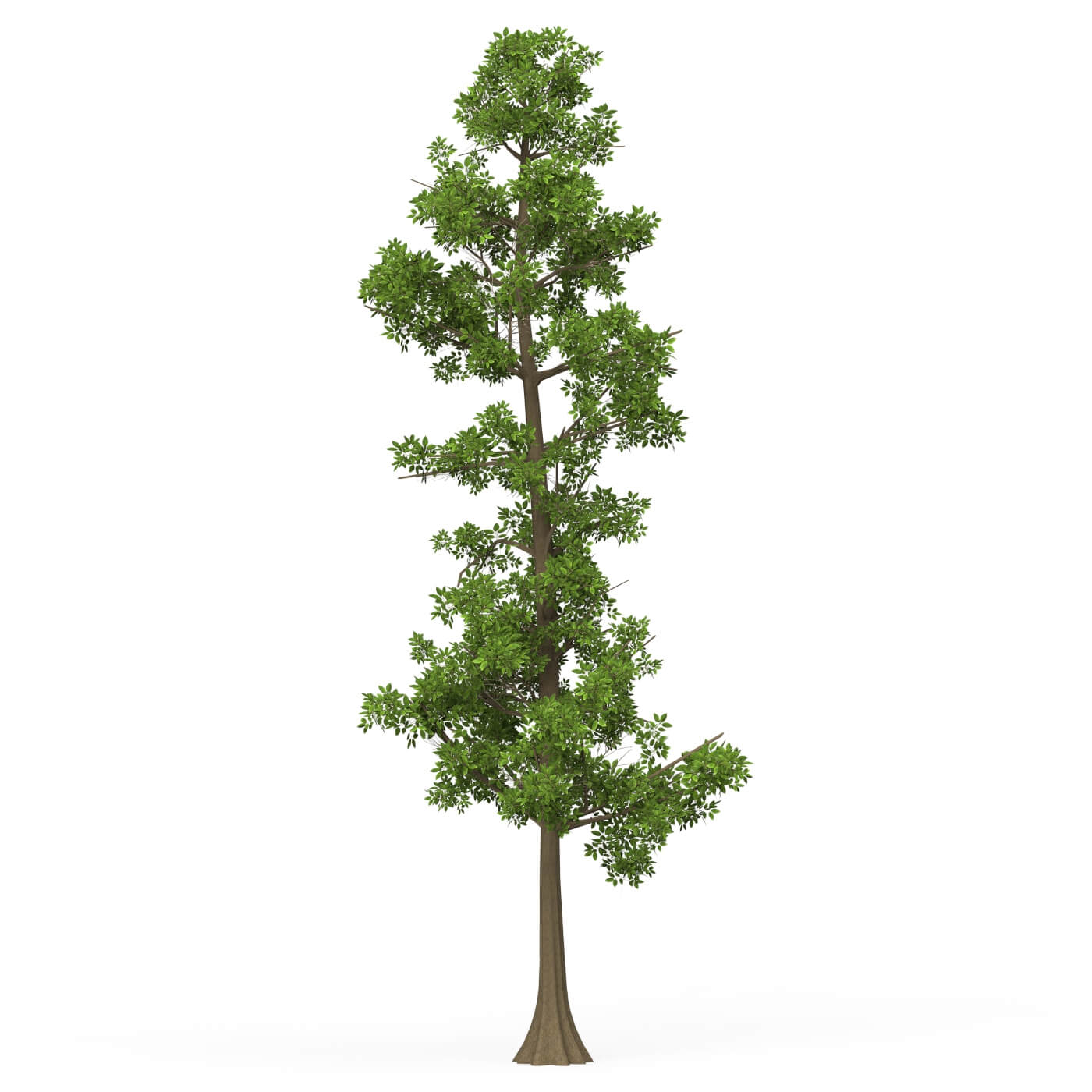 32 Realistic Low Poly Tree Collection - 3D Model by TreeWorld3d