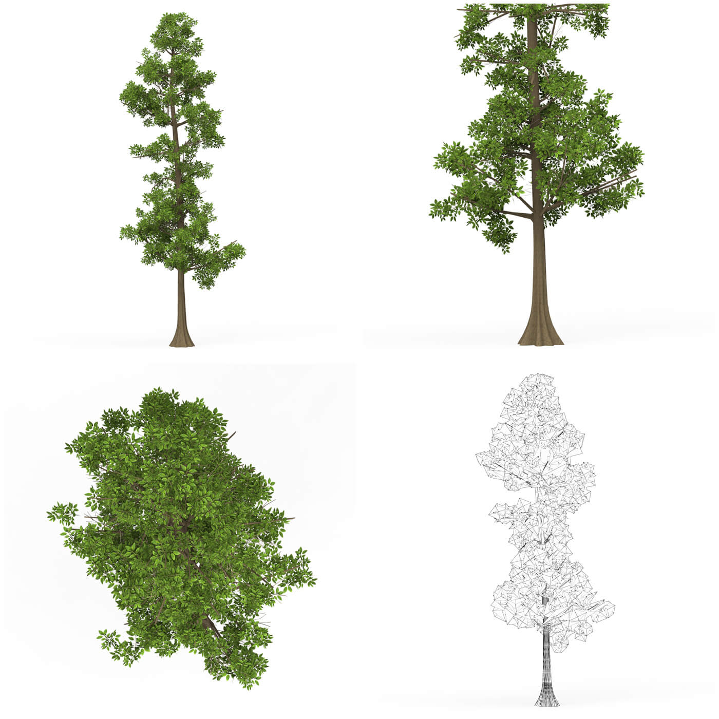 32 Realistic Low Poly Tree Collection - 3D Model by TreeWorld3d