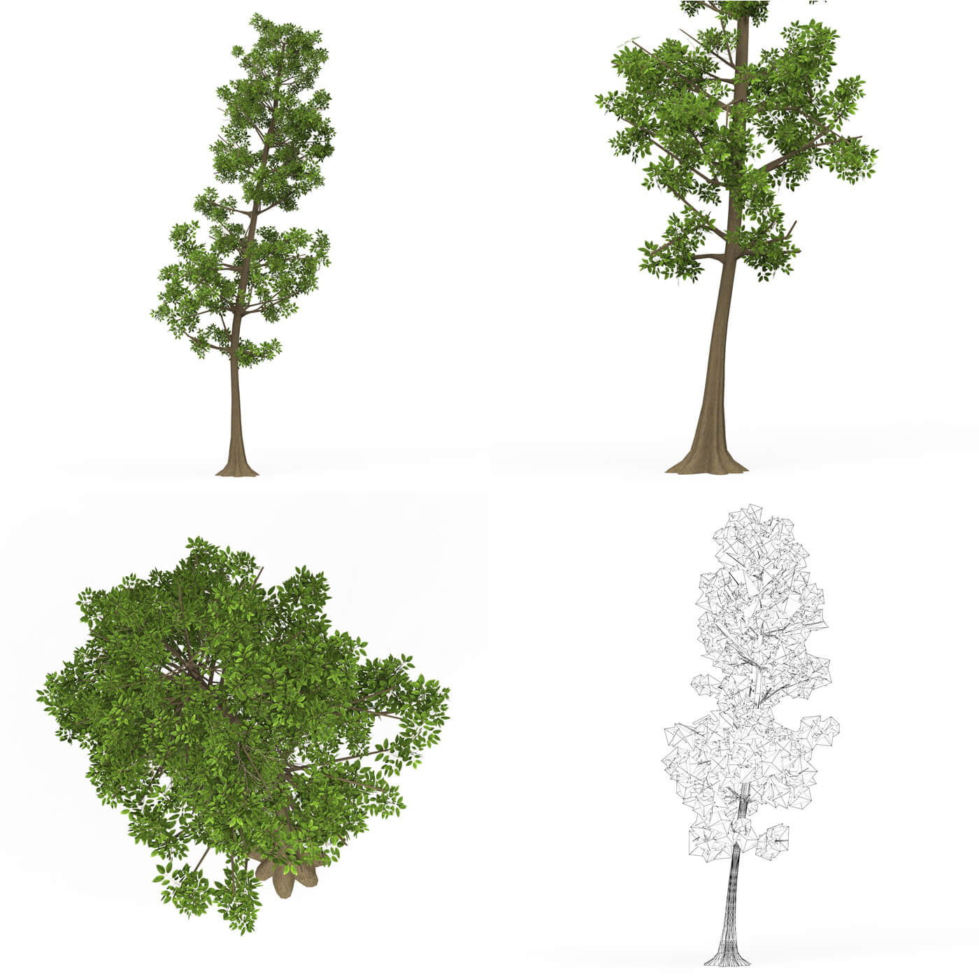 32 Realistic Low Poly Tree Collection - 3D Model by TreeWorld3d
