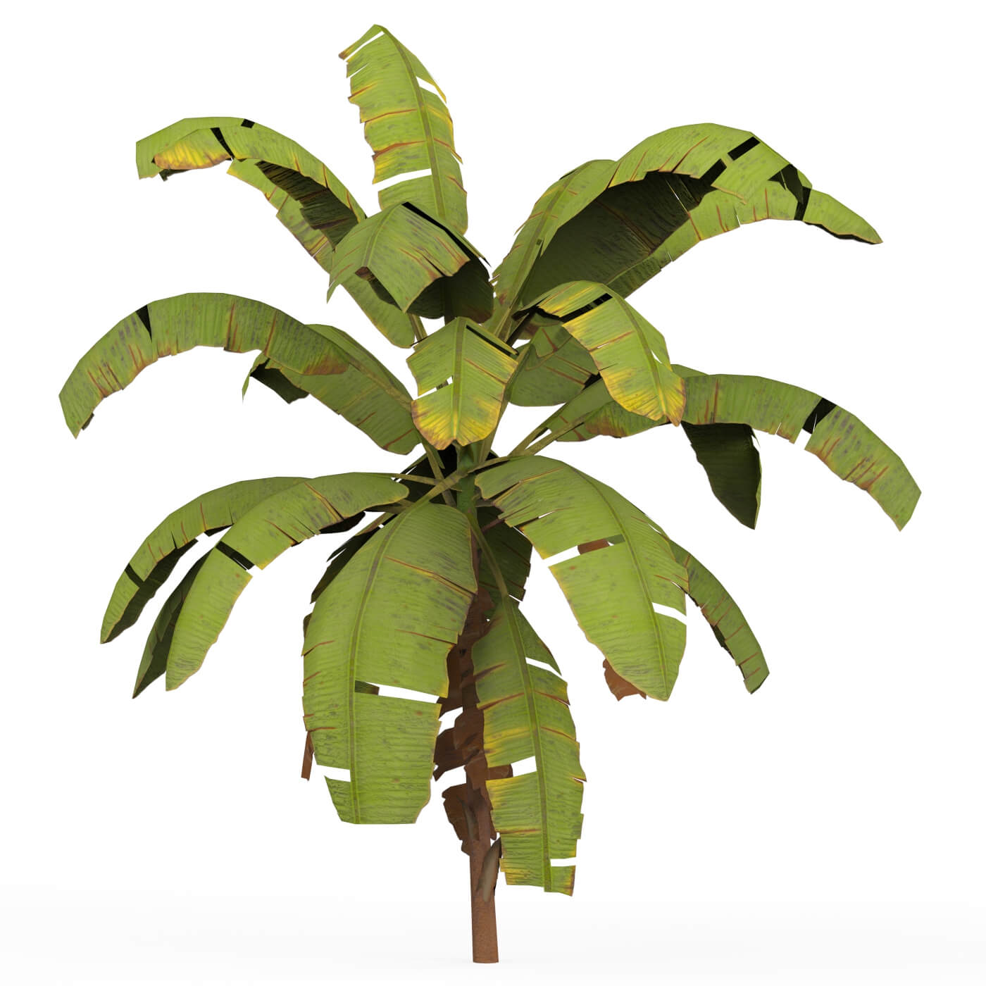 32 Realistic Low Poly Tree Collection - 3D Model by TreeWorld3d